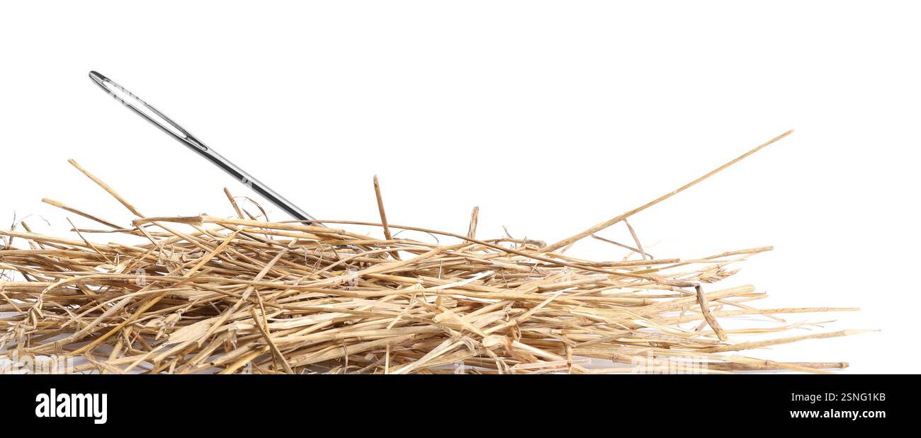 Sewing needle in haystack on white background Stock Photo - Alamy