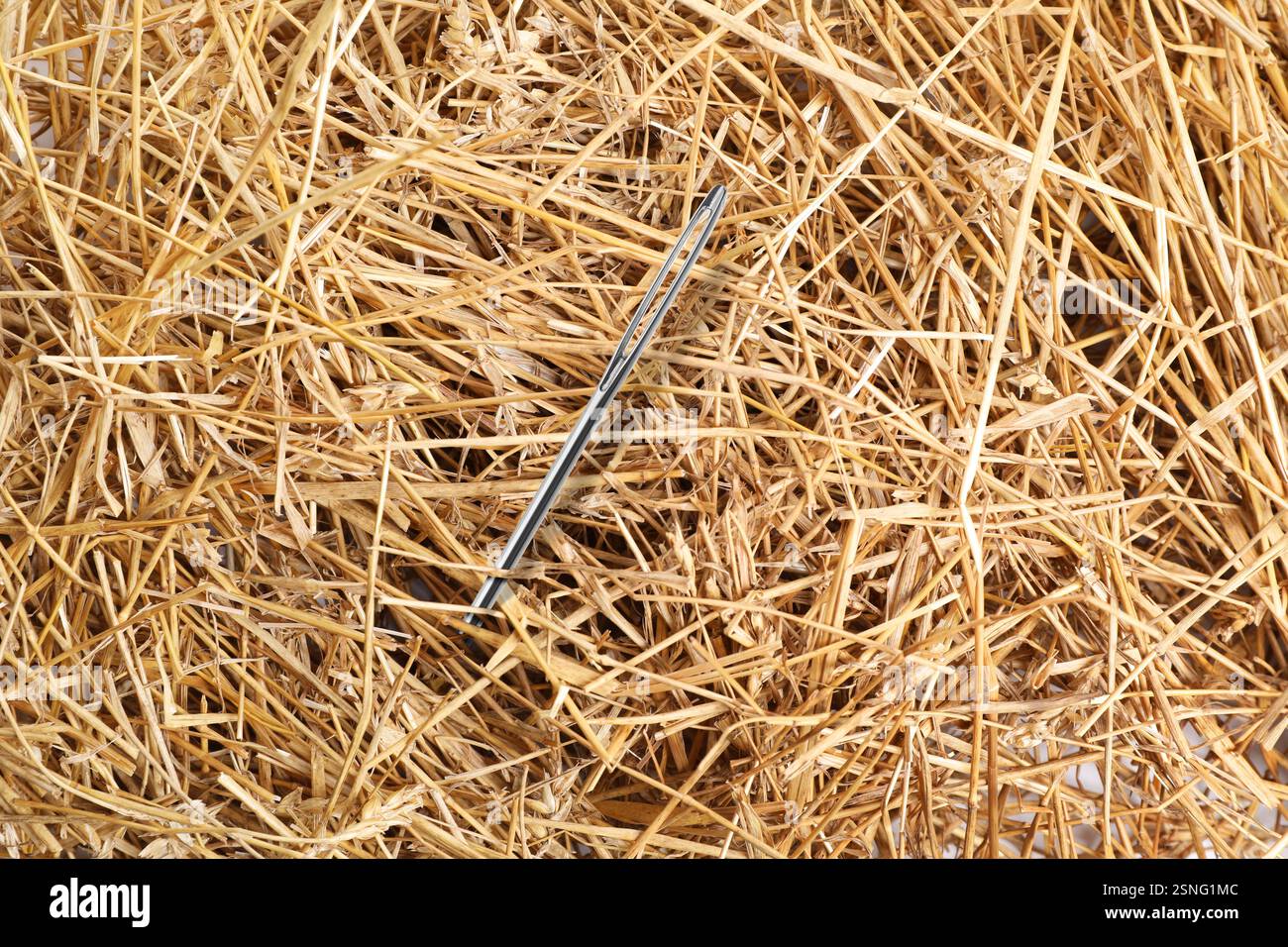 Sewing needle sticking from haystack, closeup view Stock Photo - Alamy