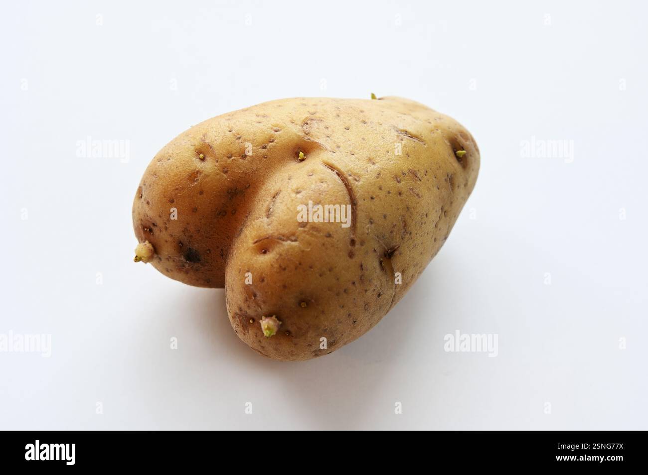 A close-up of an irregularly shaped potato with small sprouts emerging ...