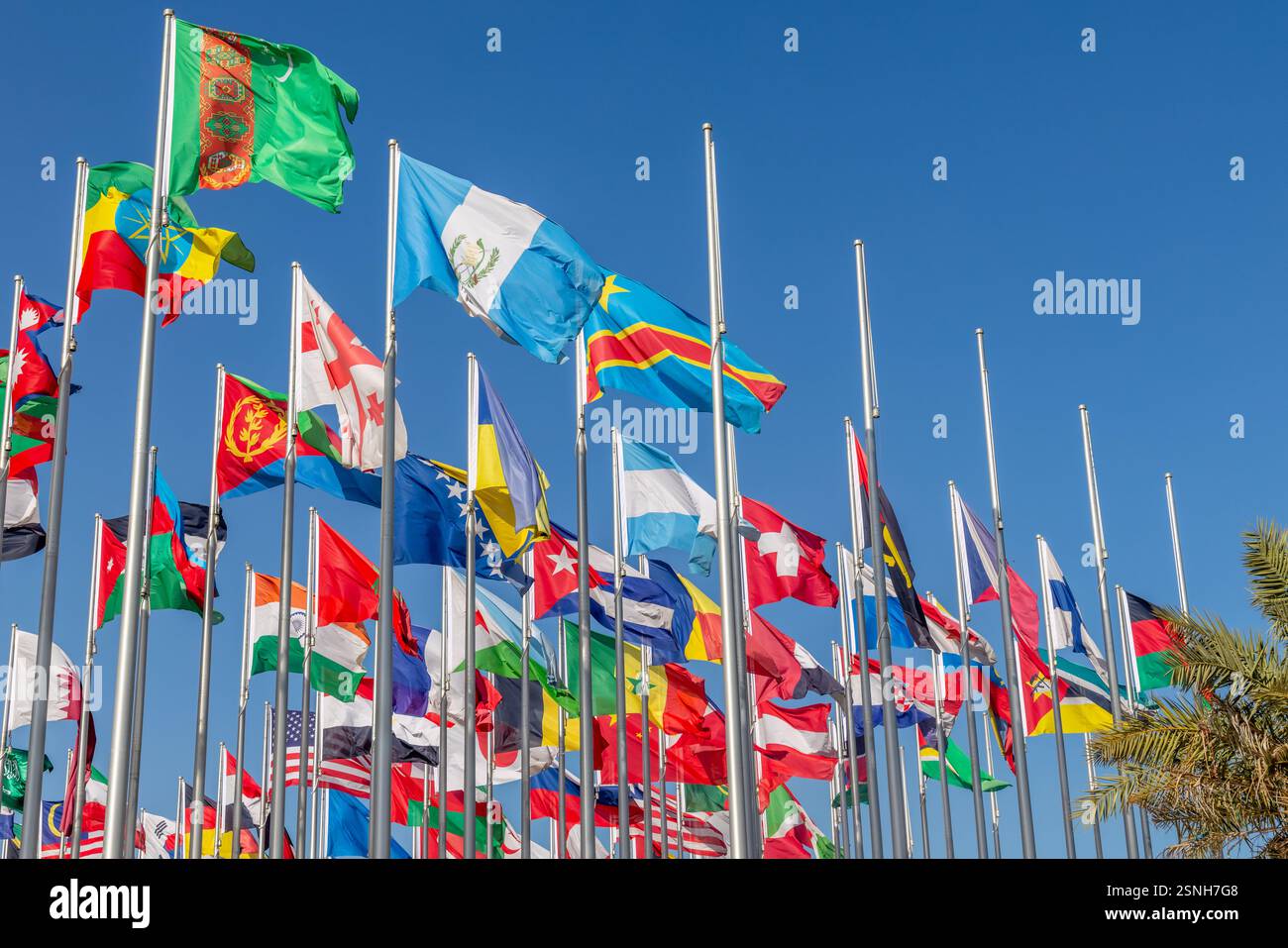 Many world's countries national flags waving on the wind, with Turkmen ...