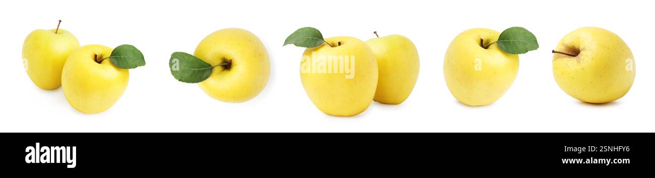 Fresh yellow apples isolated on white, set Stock Photo - Alamy