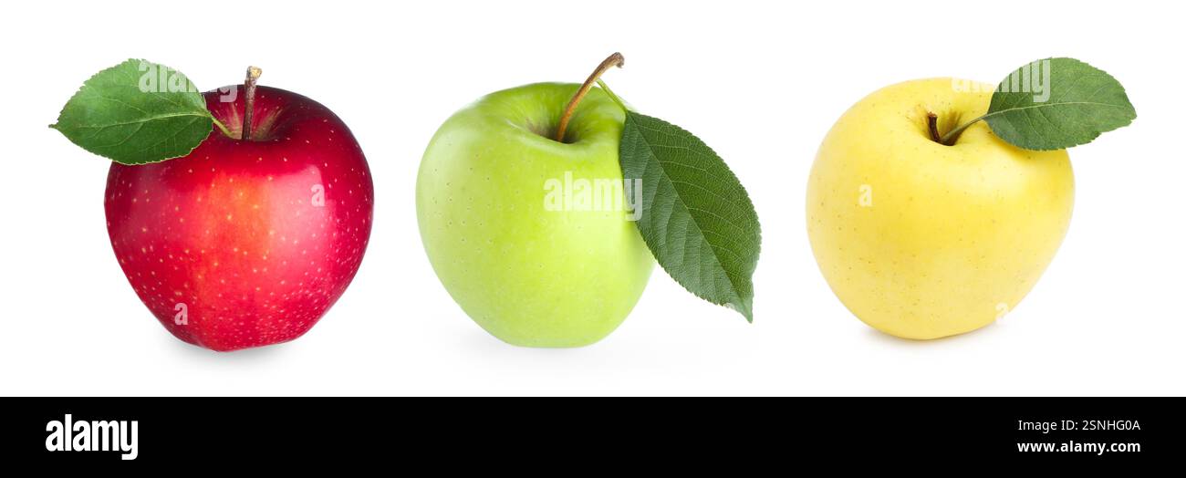 Different fresh apples isolated on white, set Stock Photo - Alamy
