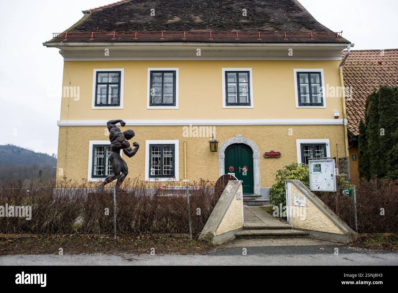 Thal, Austria. 2nd Feb, 2025. The statue of Arnold Schwarzenegger ...