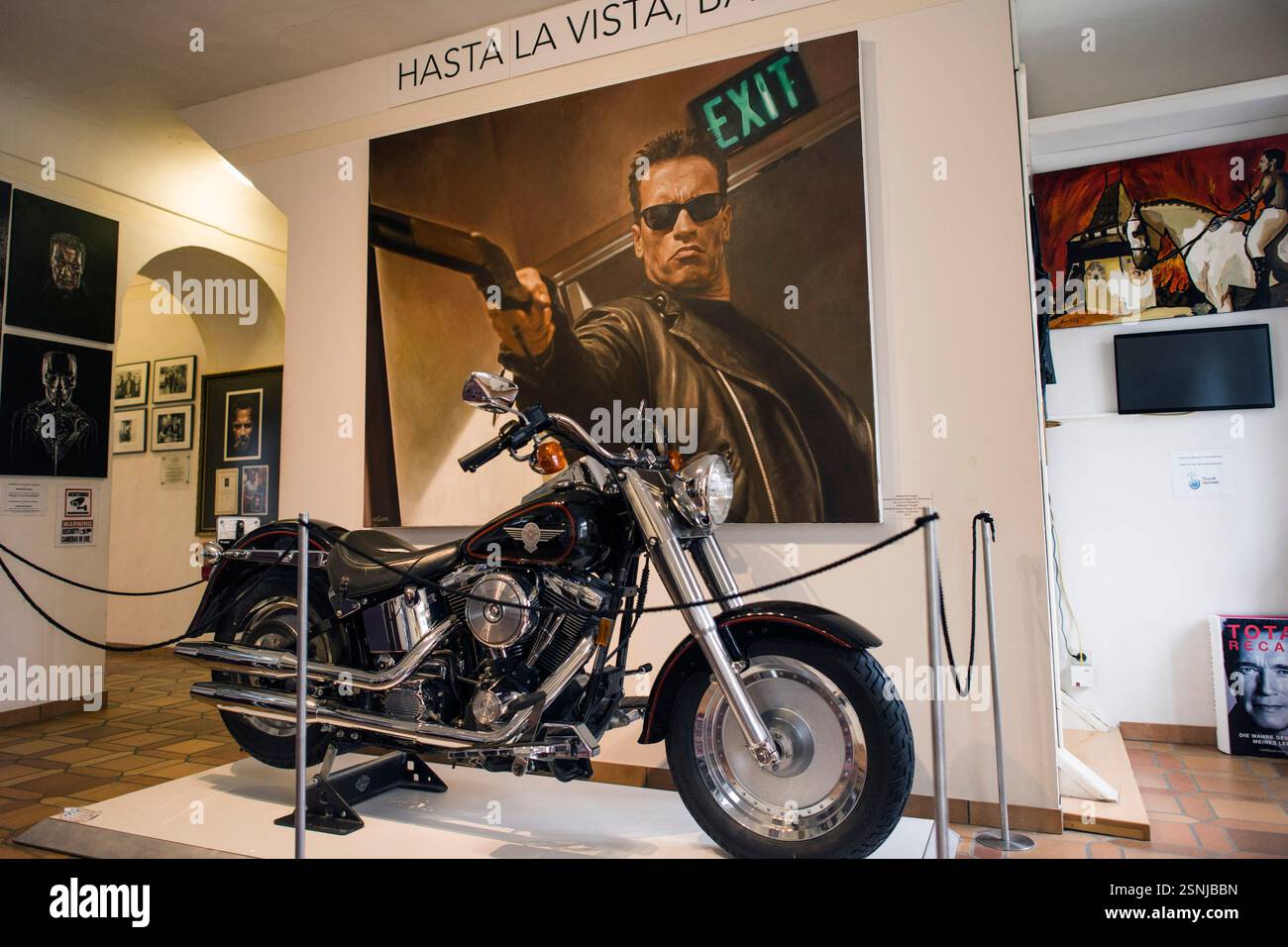 Thal, Austria. 2nd Feb, 2025. The Harley Davidson Fat Boy motorcycle ...