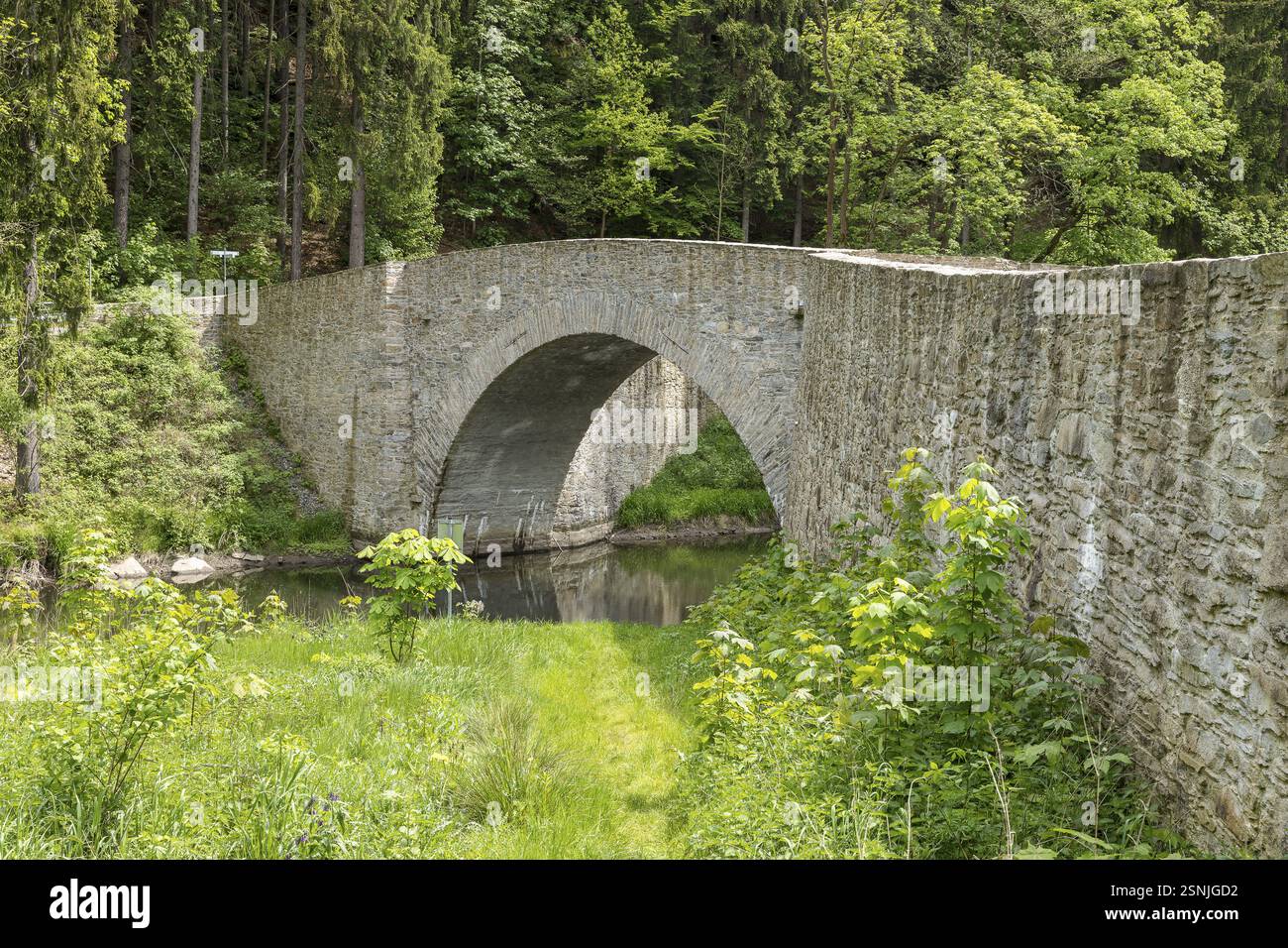 Old stone arch bridge over the Zschopau near Wolkenstein, Wolkensteiner ...