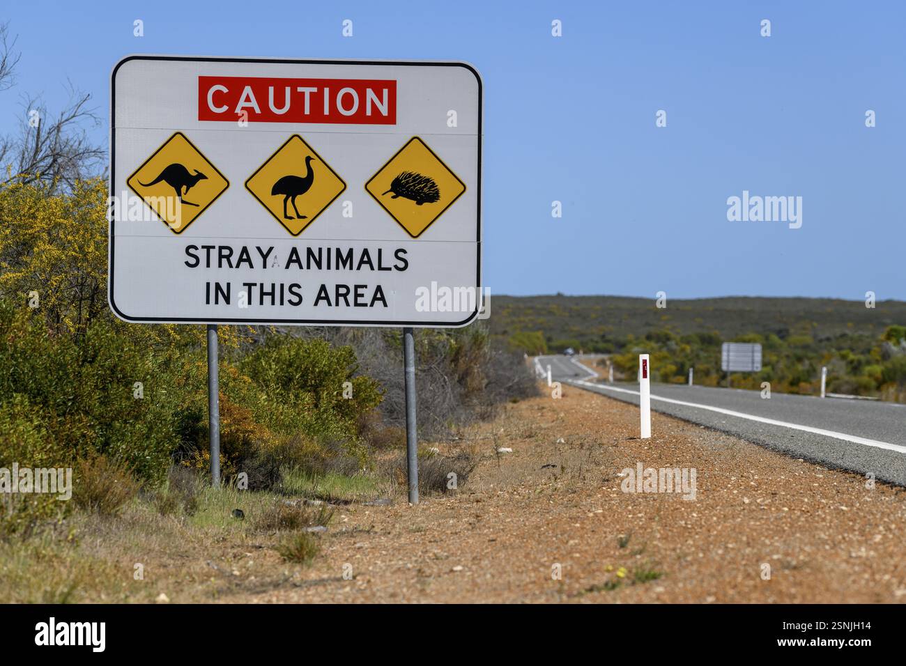 Beware of wildlife sign on a country road near Cervantes, Shire of ...