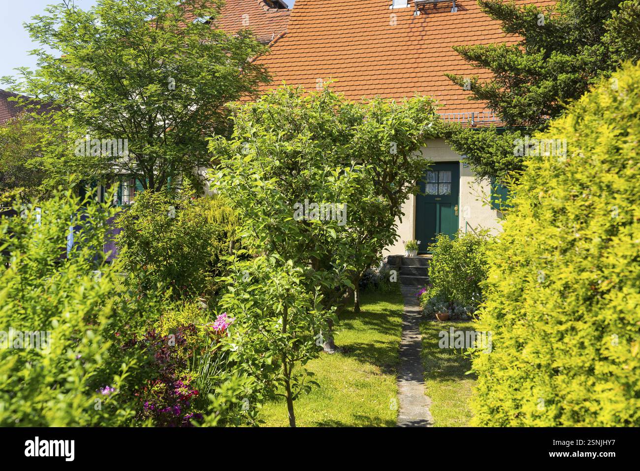 Front garden in the small house neighbourhood Am gruenen Zipfel ...