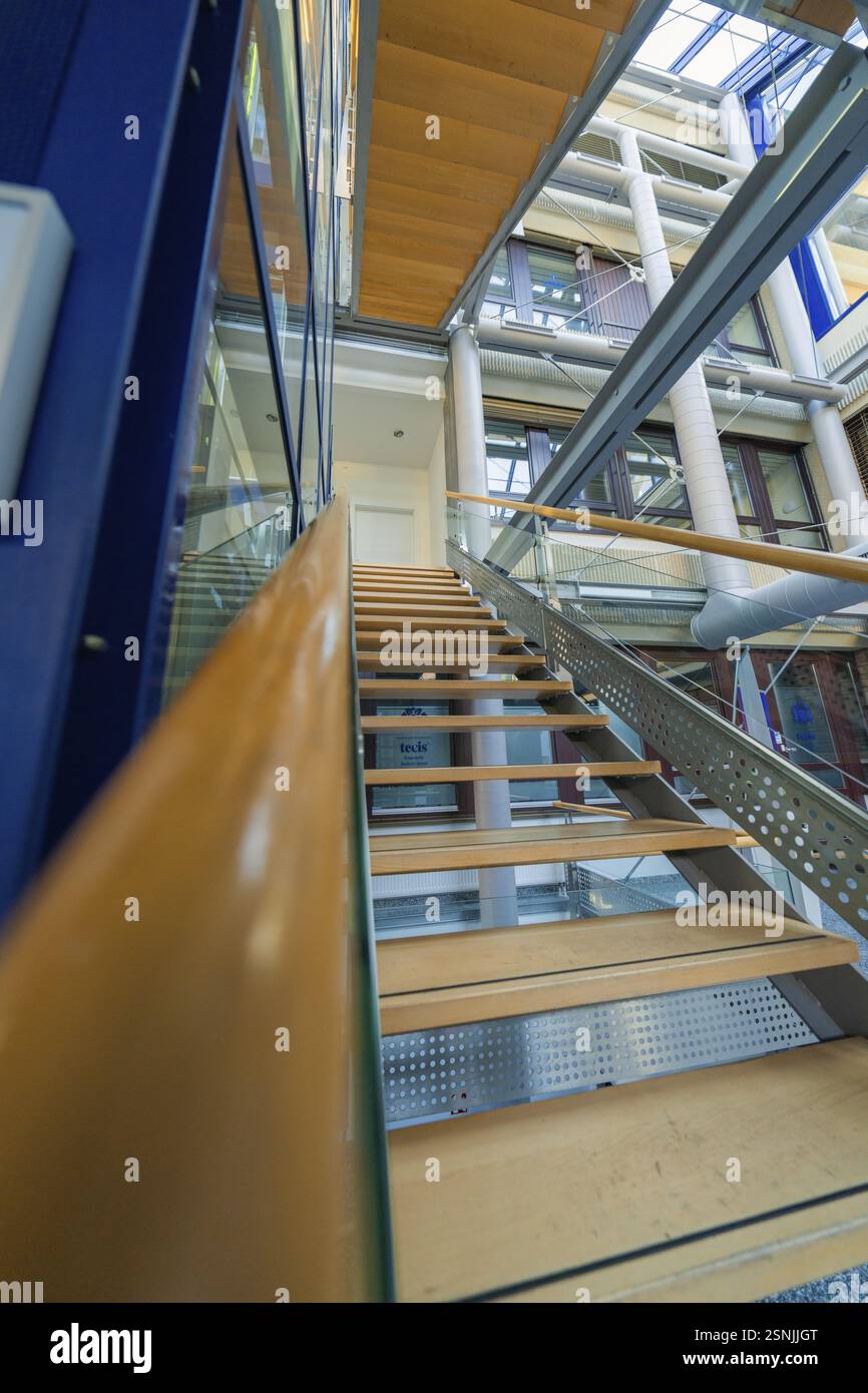 Modern wooden staircase in a light-flooded interior, Sindelfingen ...