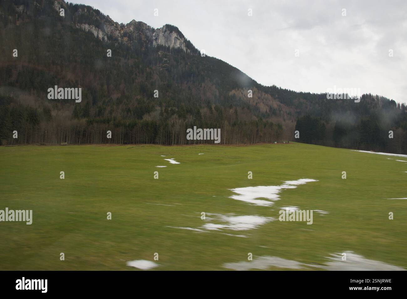 Vibrant green field stretches towards snow-capped mountains in Germany ...