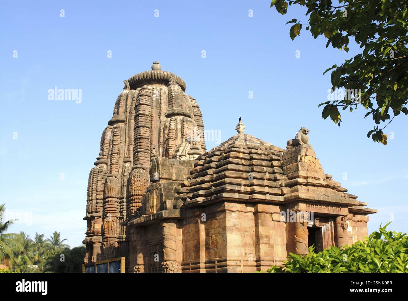 Raja Rani temple of red-gold sandstone, Bhubaneswar, Orissa, India ...
