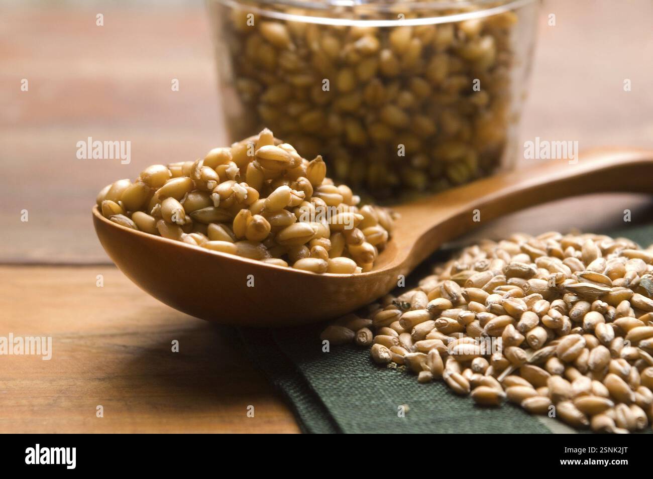 Wheat Germs, lodz, poland Stock Photo - Alamy