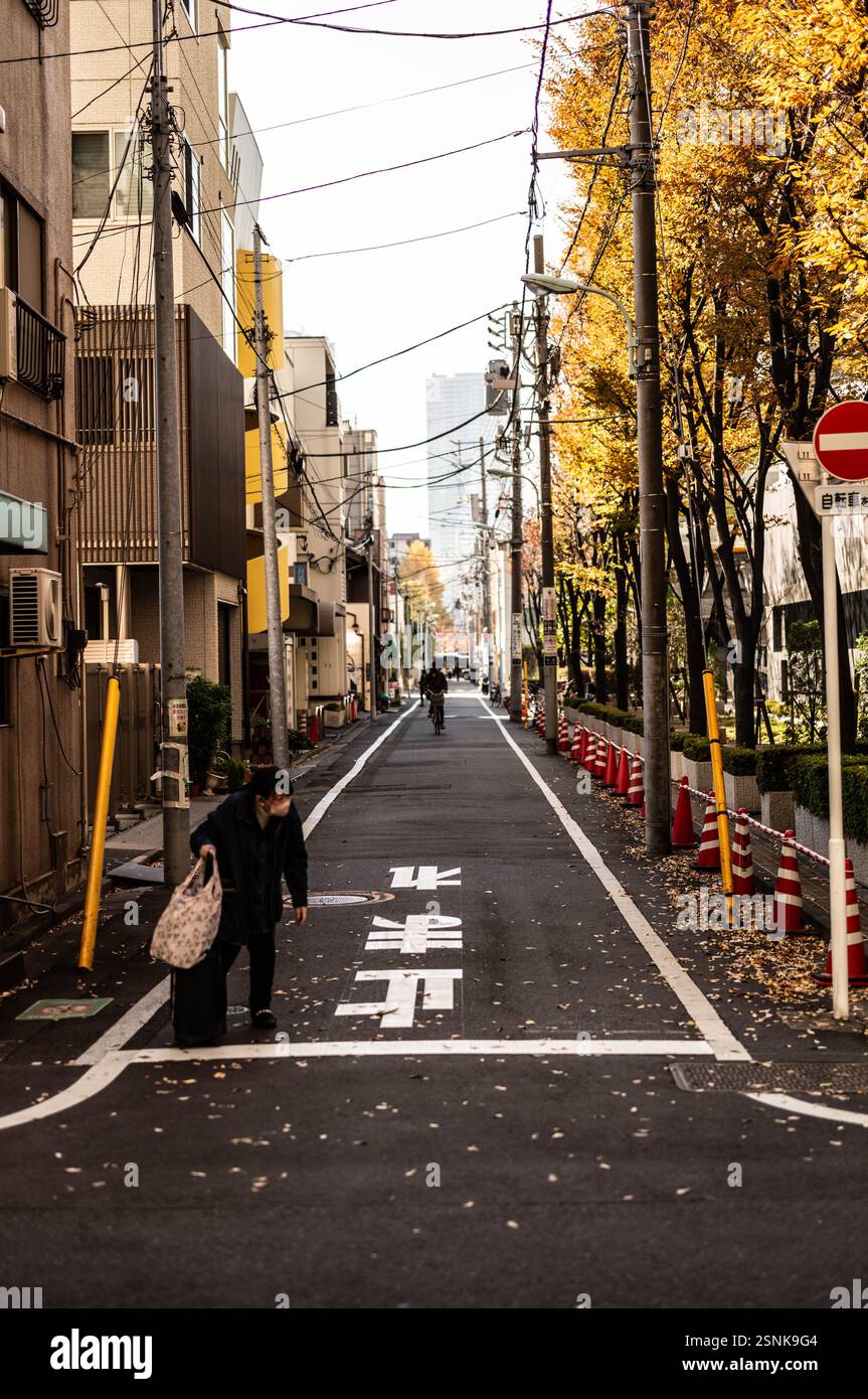 Monjayaki spots in Tsukishima and the journey from Tsukiji to Ginza ...