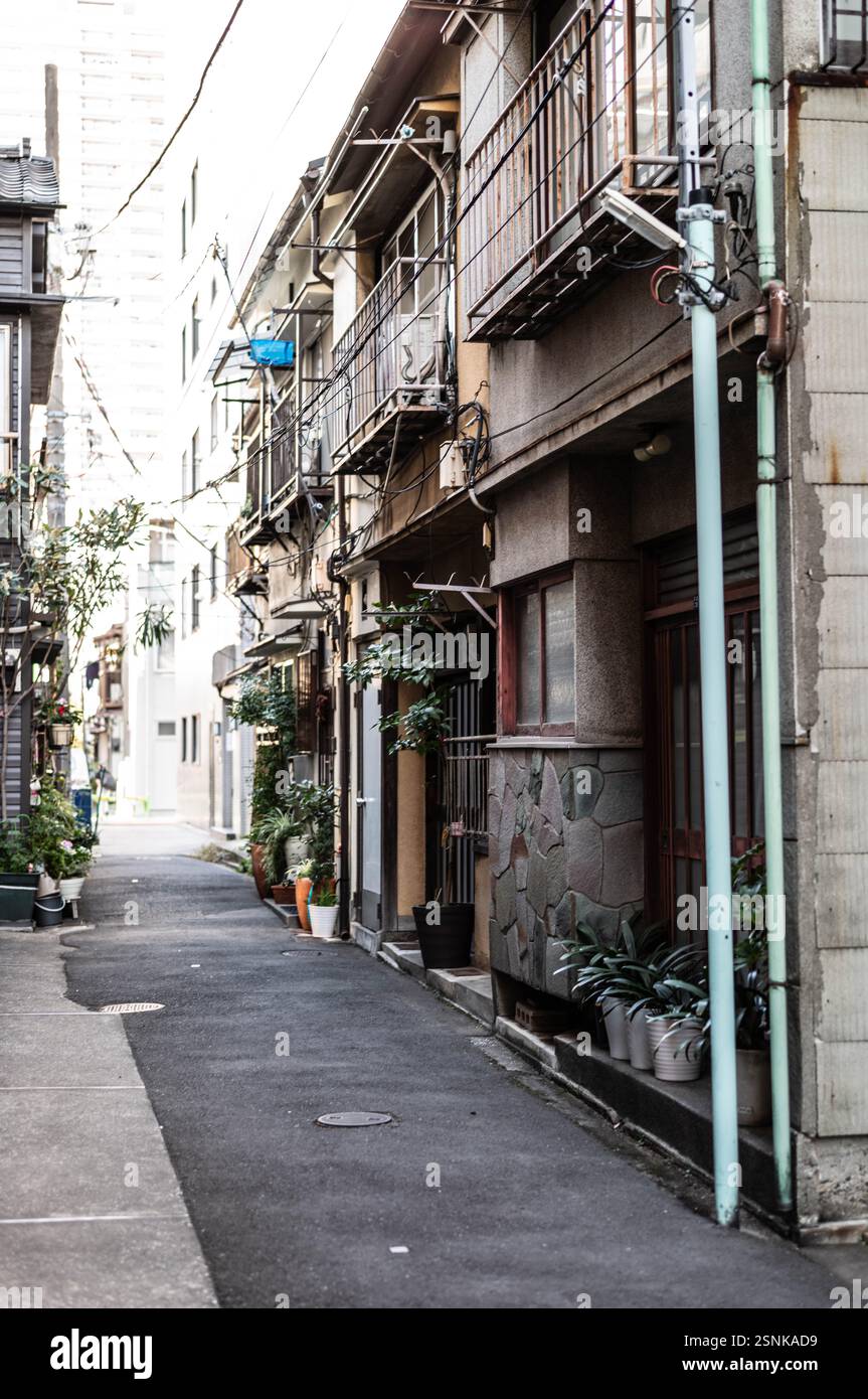 Monjayaki spots in Tsukishima and the journey from Tsukiji to Ginza ...