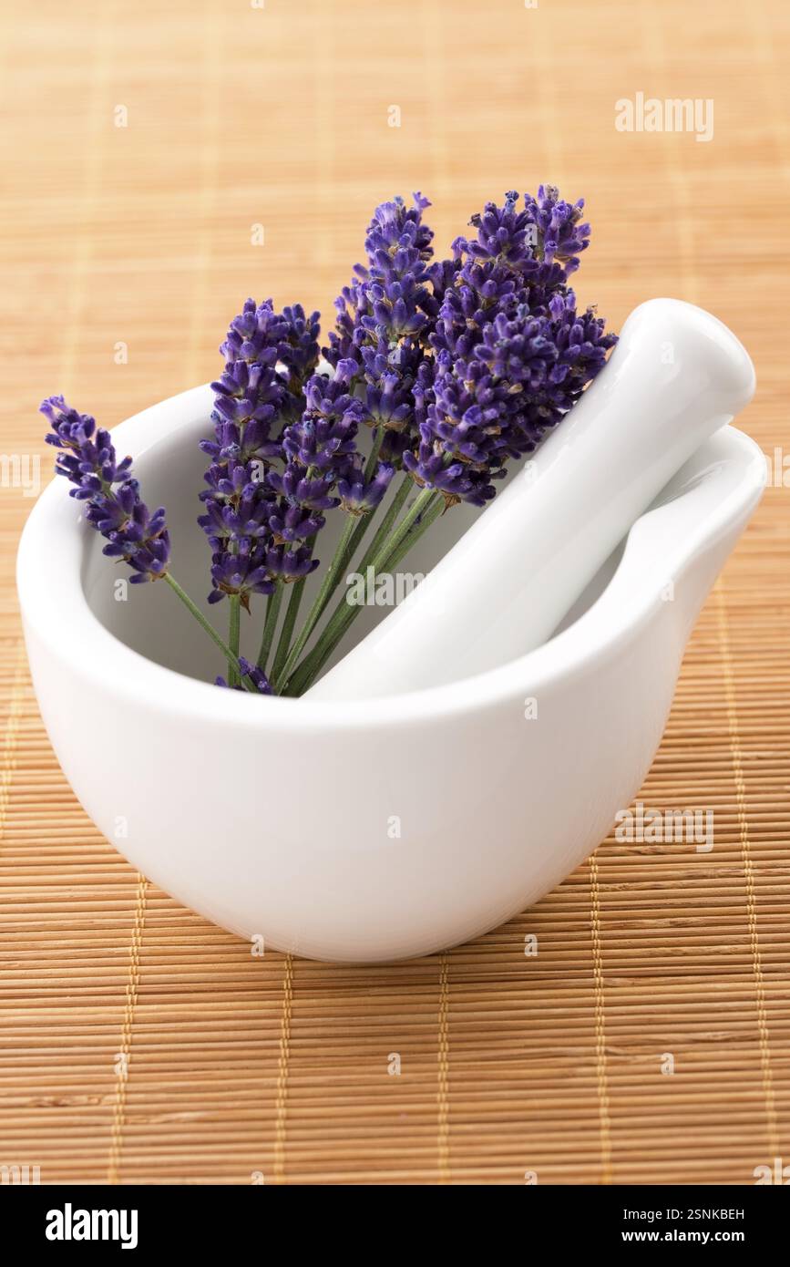Lavender flowers in a mortar, lodz, poland Stock Photo - Alamy