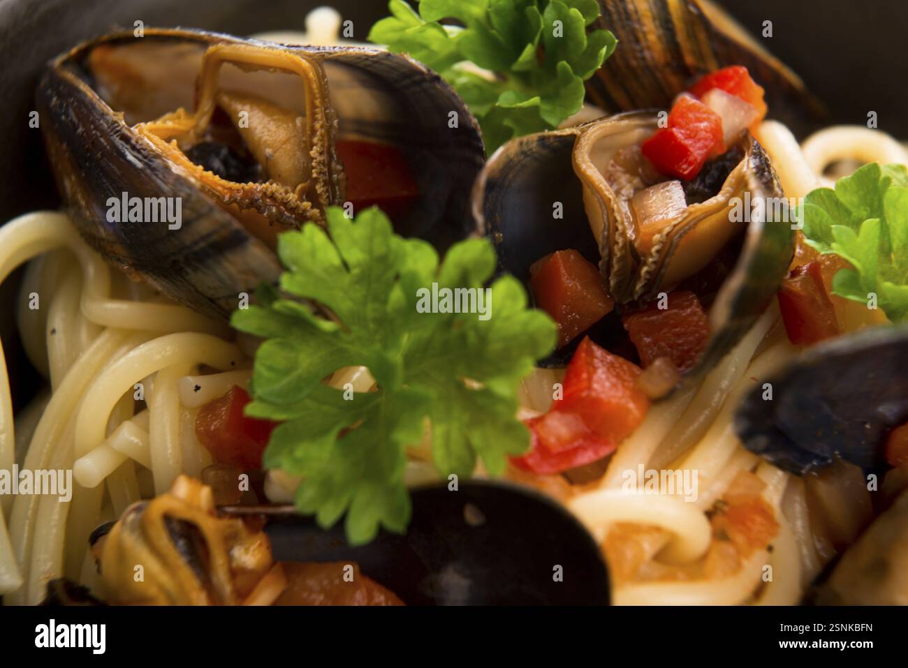 Clams in tomato sauce, lodz, poland Stock Photo - Alamy