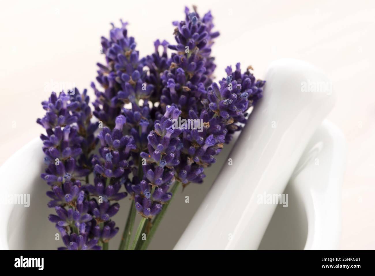 Lavender flowers in a mortar, lodz, poland Stock Photo - Alamy