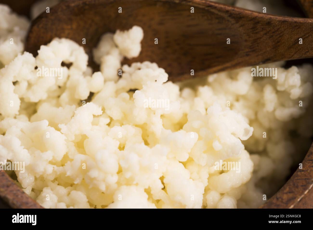 Organic probiotic milk kefir grains Stock Photo - Alamy