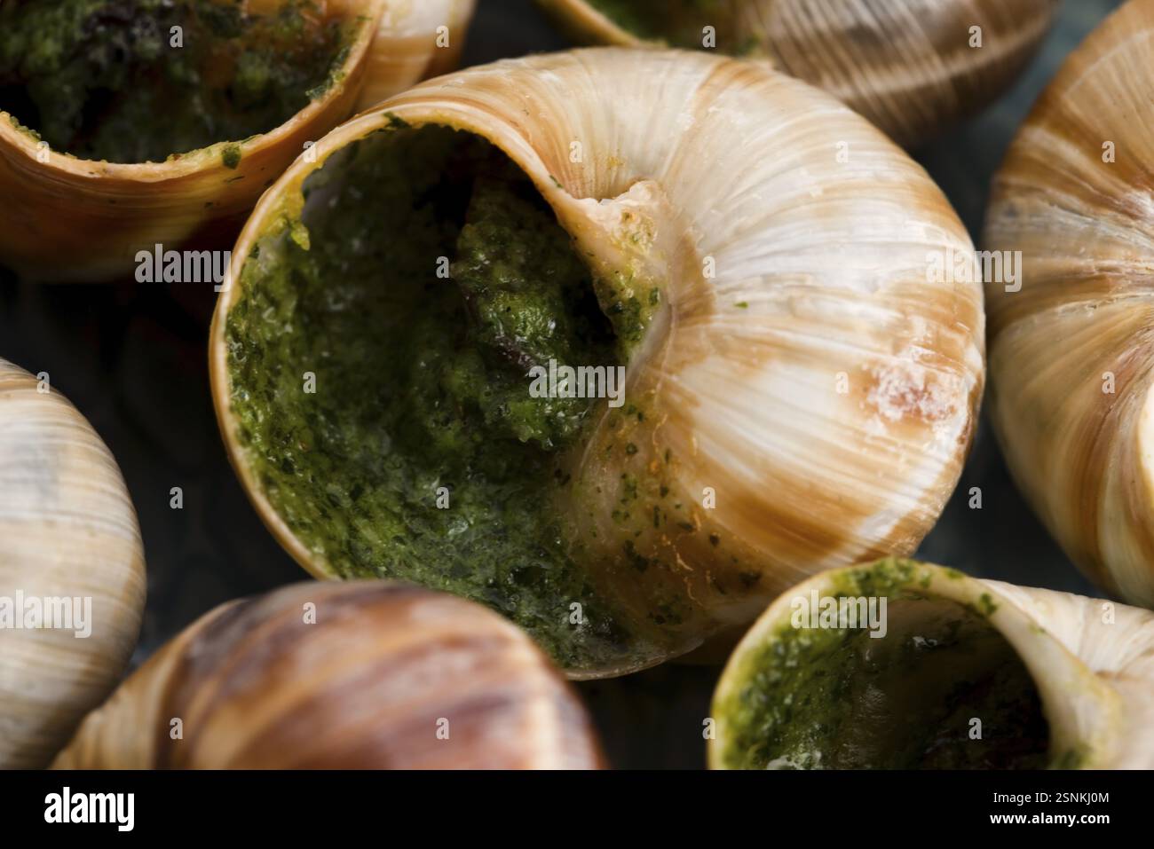 Close up of Escargots with garlic butter, lodz, poland Stock Photo - Alamy