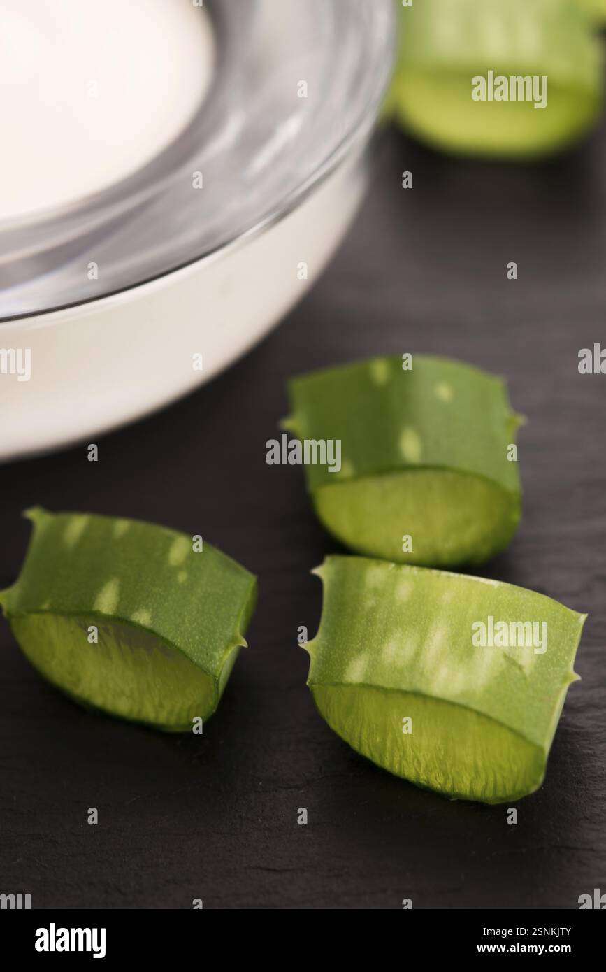 Aloe vera - leaves and cream Stock Photo - Alamy