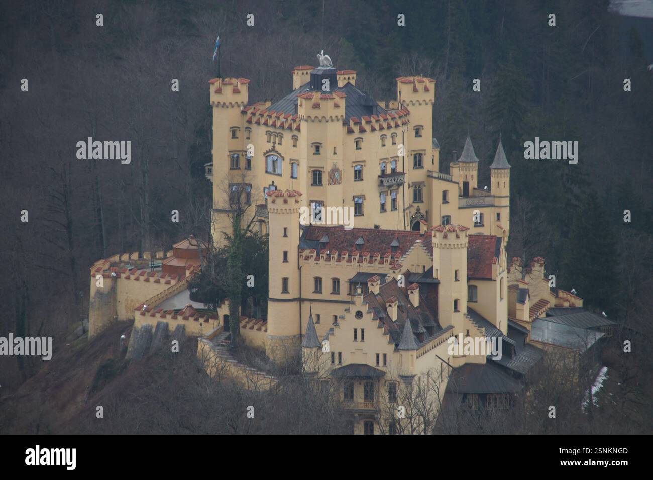 Two historic castles, Hohenschwangau and Neuschwanstein, stand on hills ...