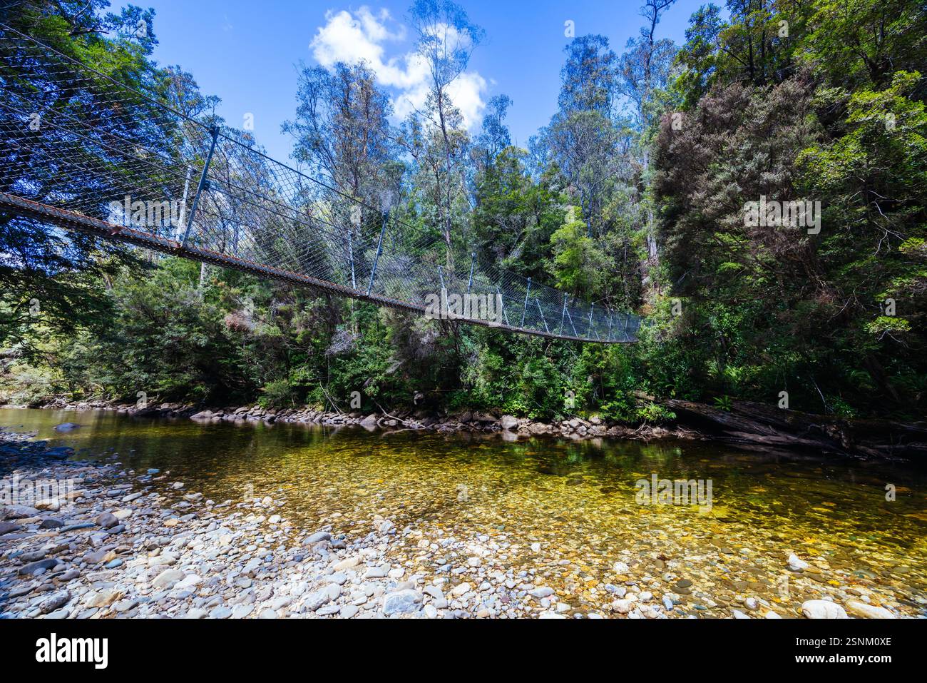 Frenchmans Cap Suspended Bridge in Tasmania Australia Stock Photo - Alamy