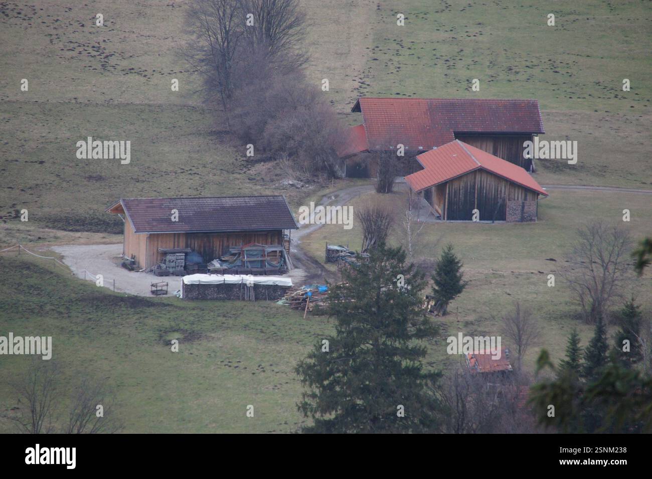 Verdant field cluster hi-res stock photography and images - Alamy