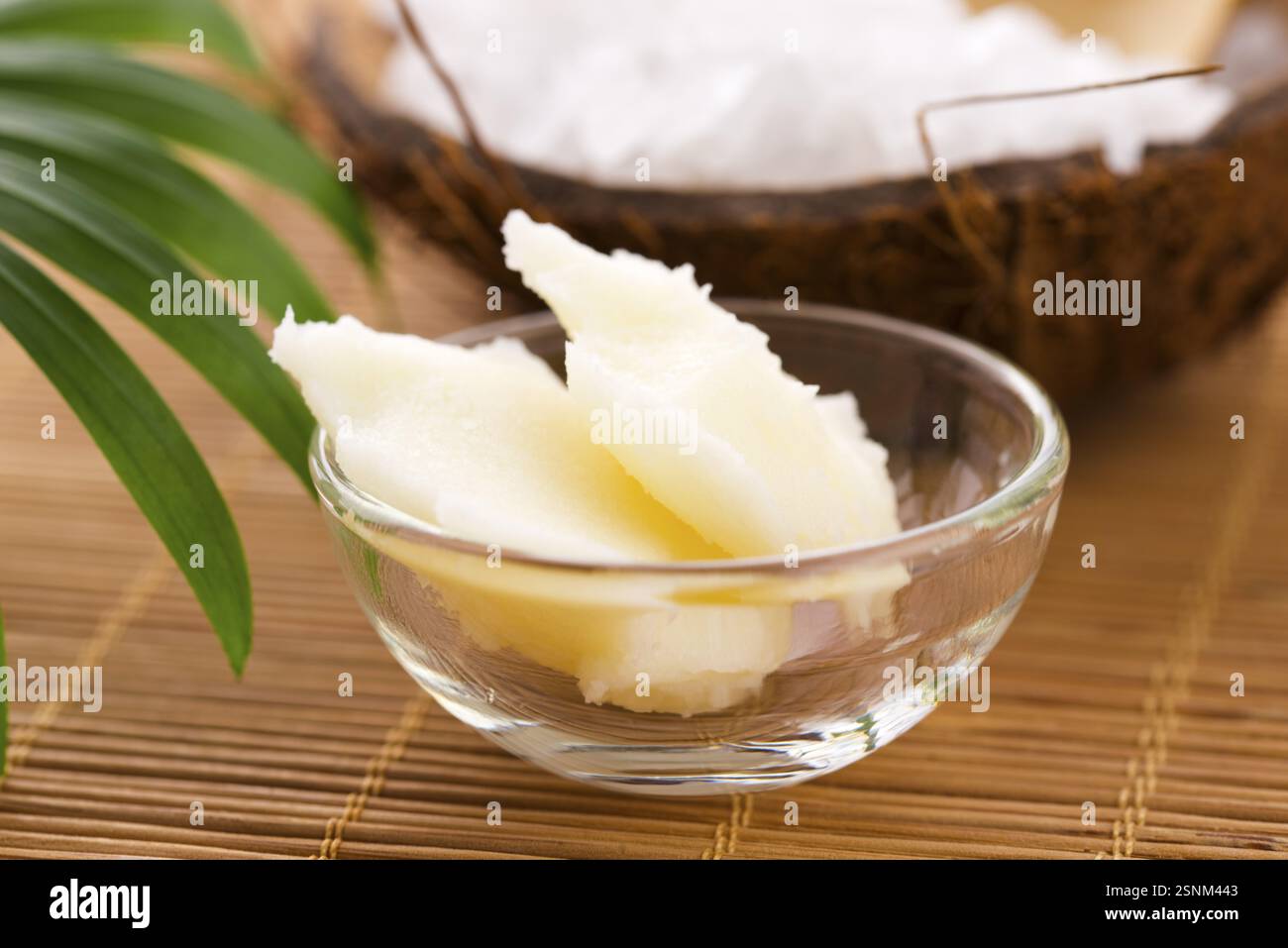Palm oil, lodz, poland Stock Photo - Alamy