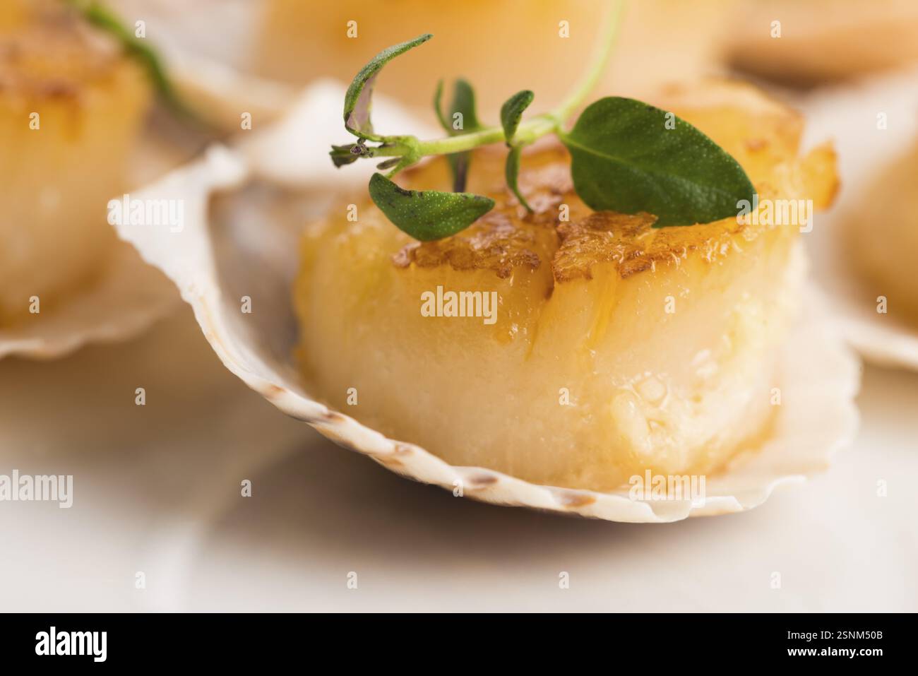 Baked scallops asparagus hi-res stock photography and images - Alamy