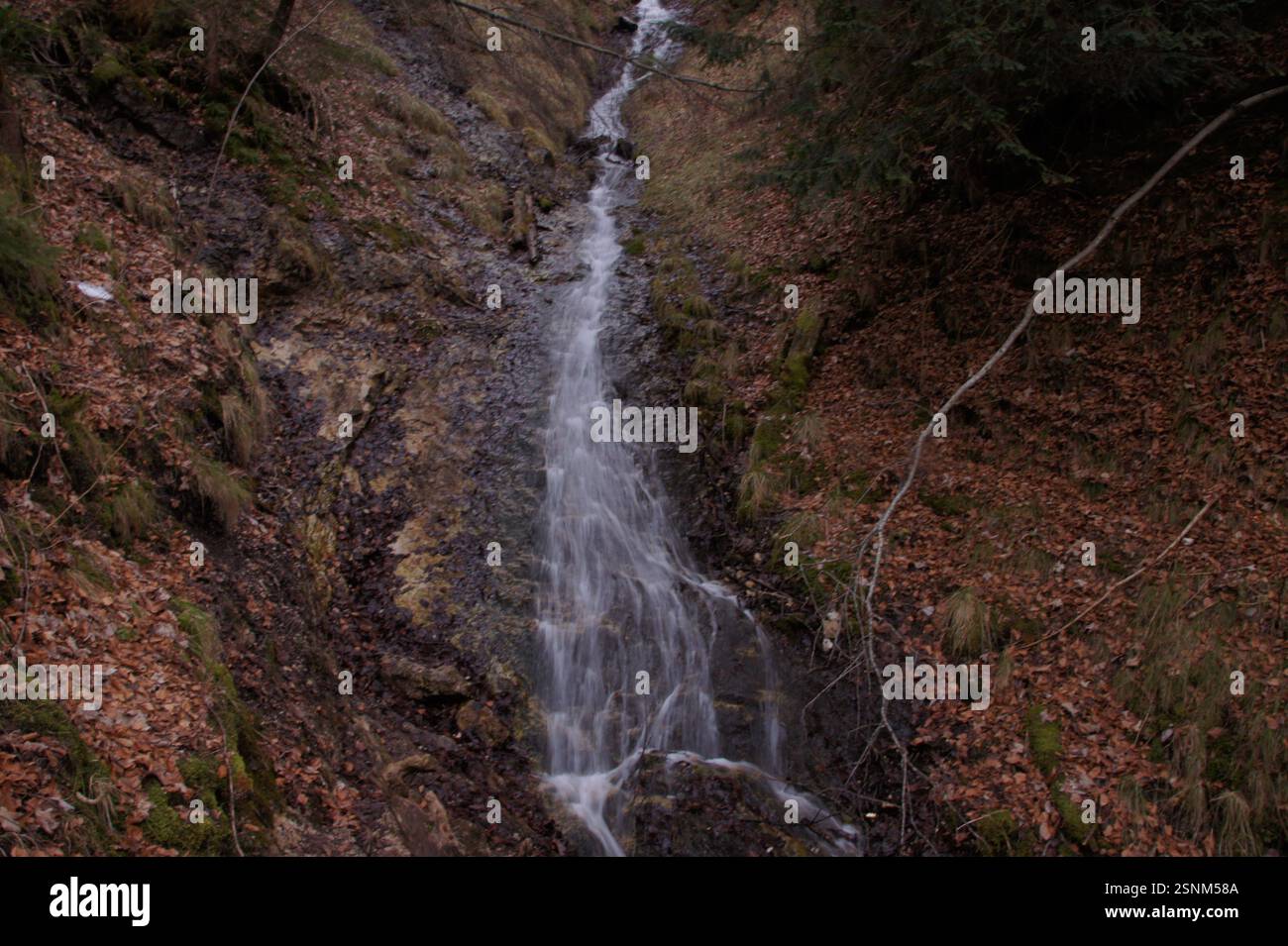 Dap munich hi-res stock photography and images - Alamy