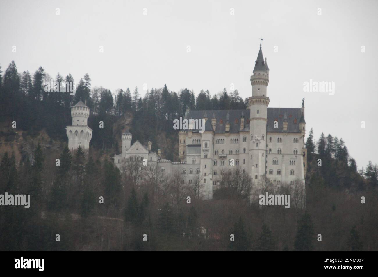 Neuschwanstein Castle, a famous 19th-century Romanesque Revival palace ...