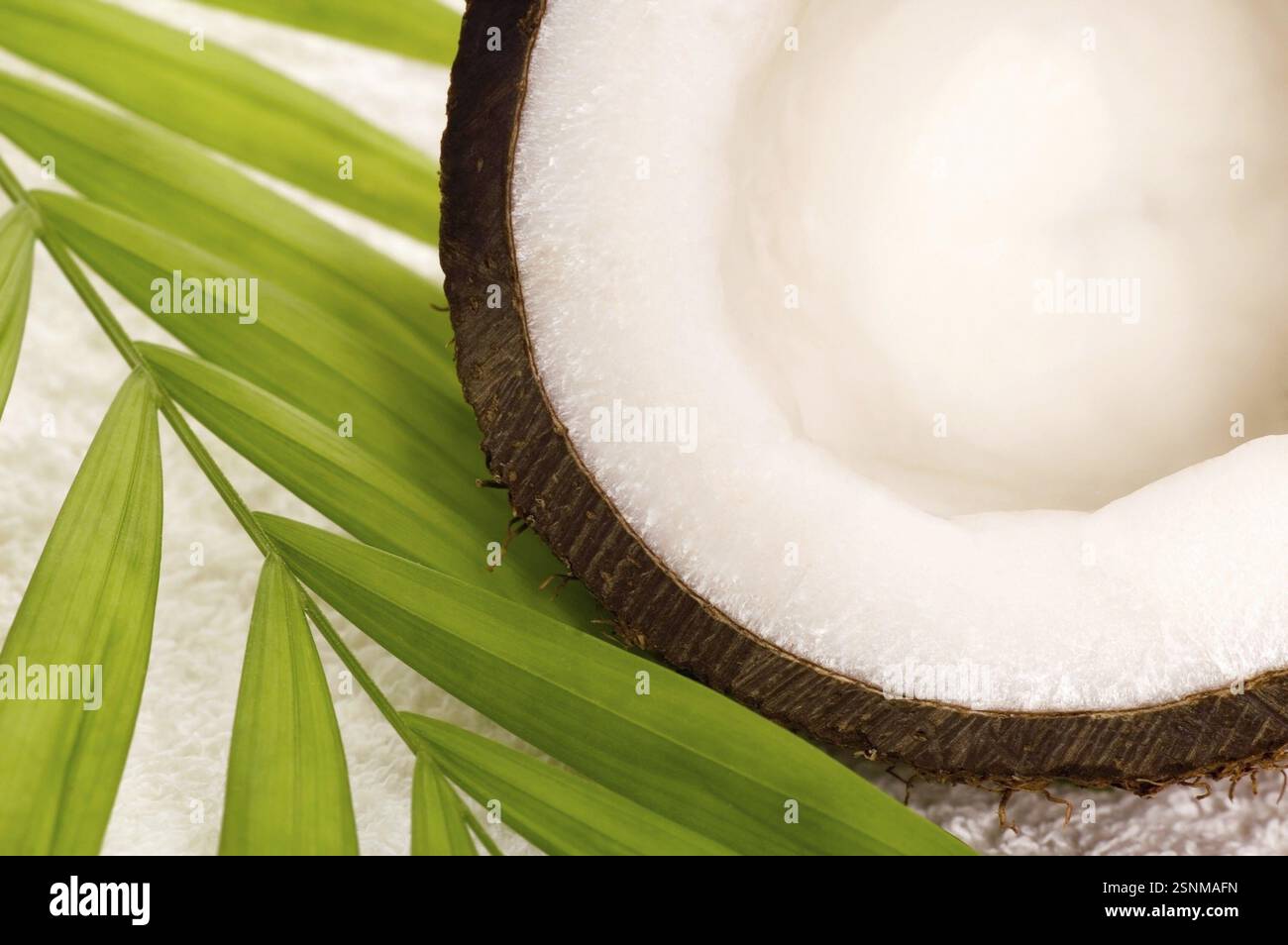 Coco bath. coconut, towel anh palm leaf. exotic scene Stock Photo - Alamy