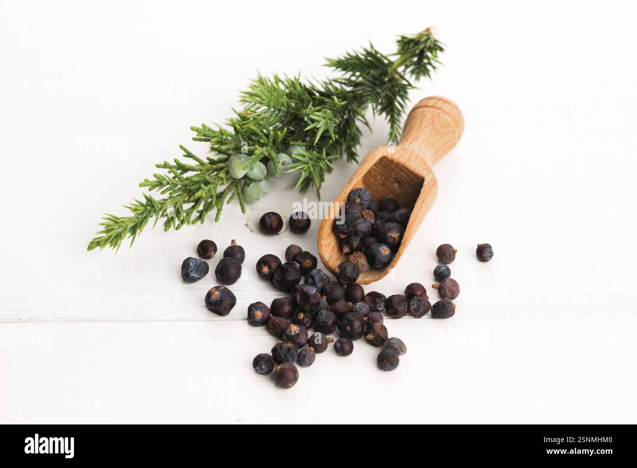 Juniper plant with berries Stock Photo - Alamy