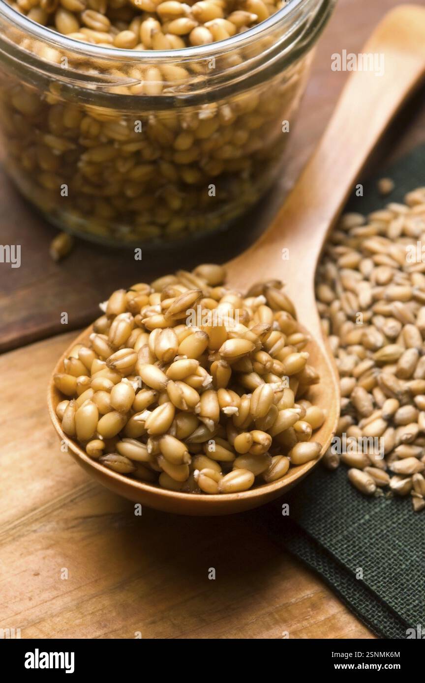 Wheat Germs, lodz, poland Stock Photo - Alamy