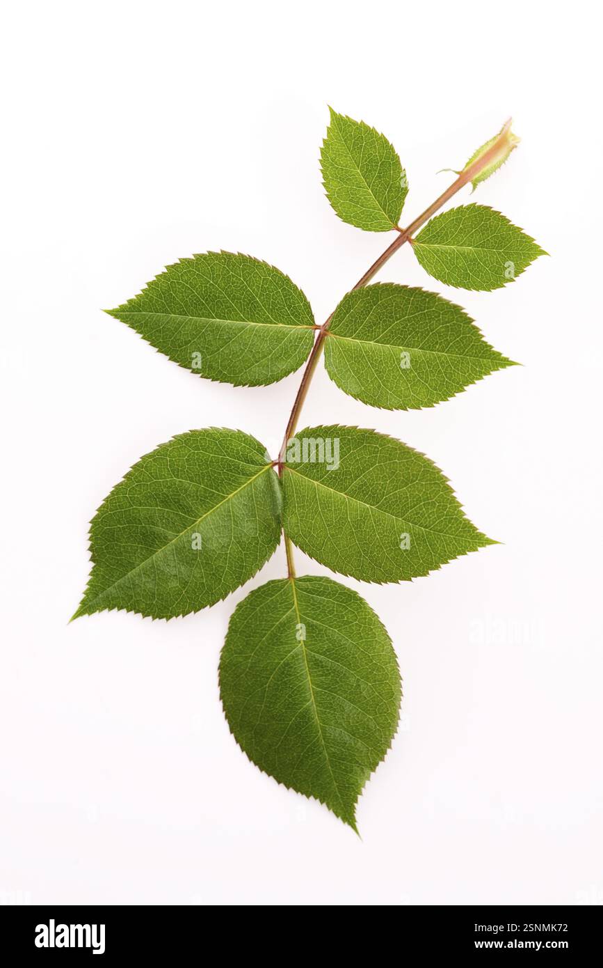 Poland air travel Cut Out Stock Images & Pictures - Alamy