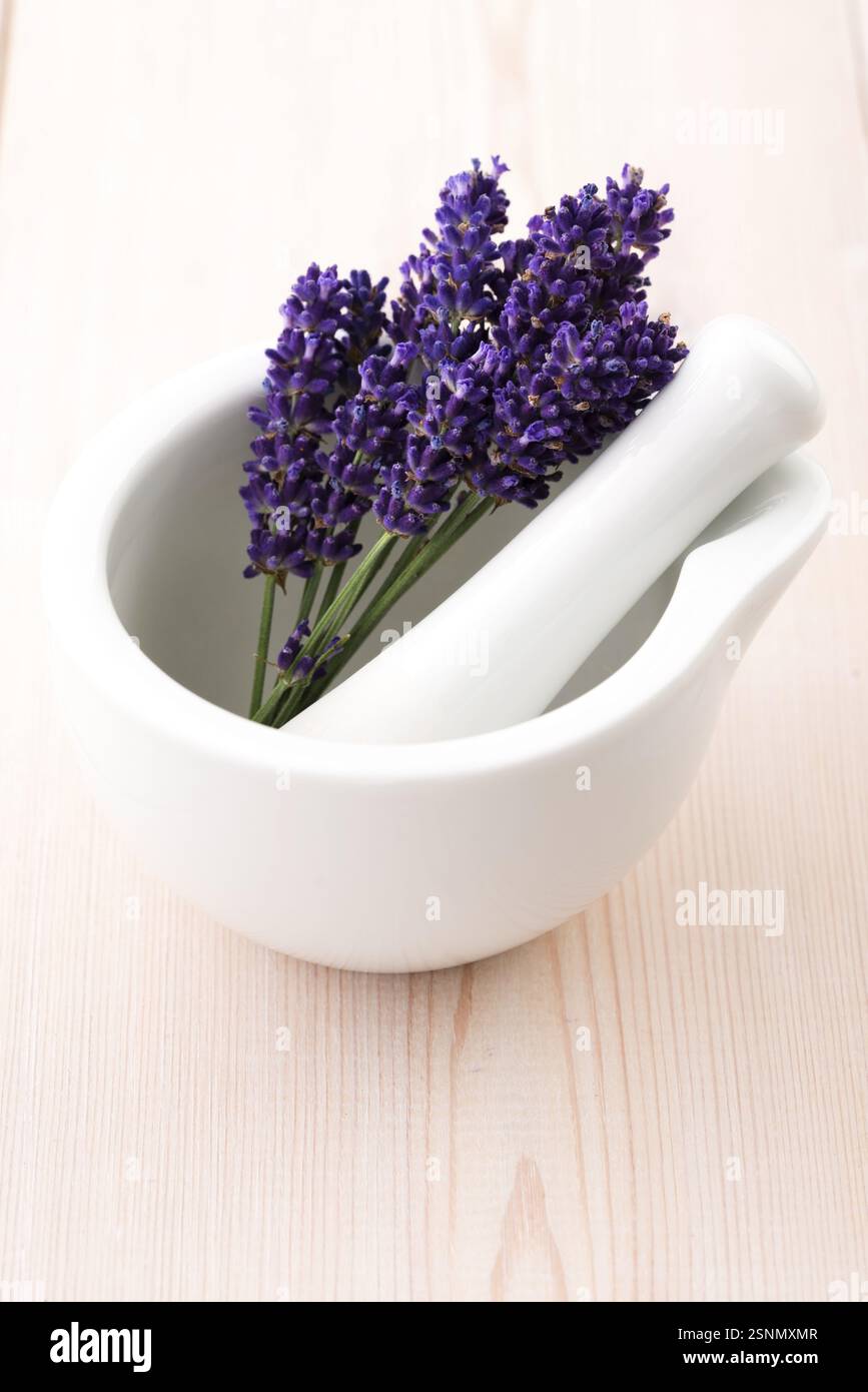 Lavender flowers in a mortar, lodz, poland Stock Photo - Alamy