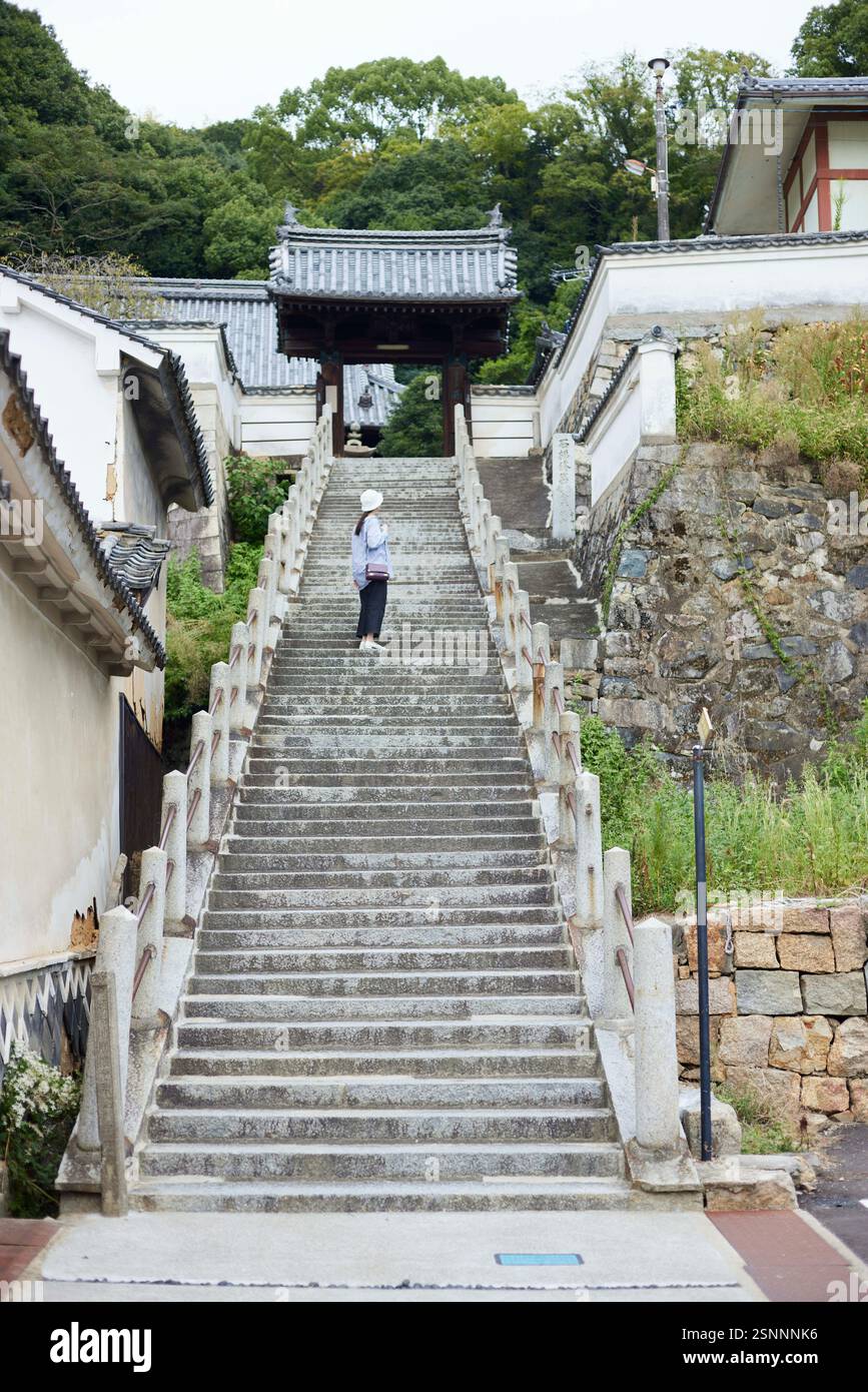 Japanese woman travelling climbing the stairs to a temple Stock Photo ...