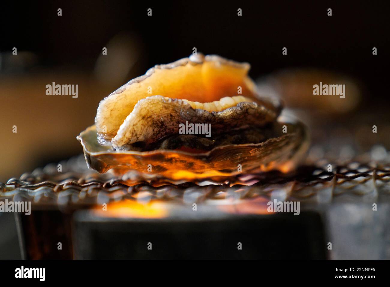 Char-grilled live abalone Stock Photo - Alamy