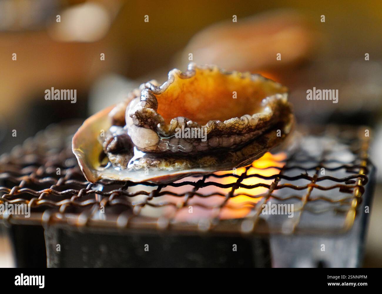 Char-grilled live abalone Stock Photo - Alamy
