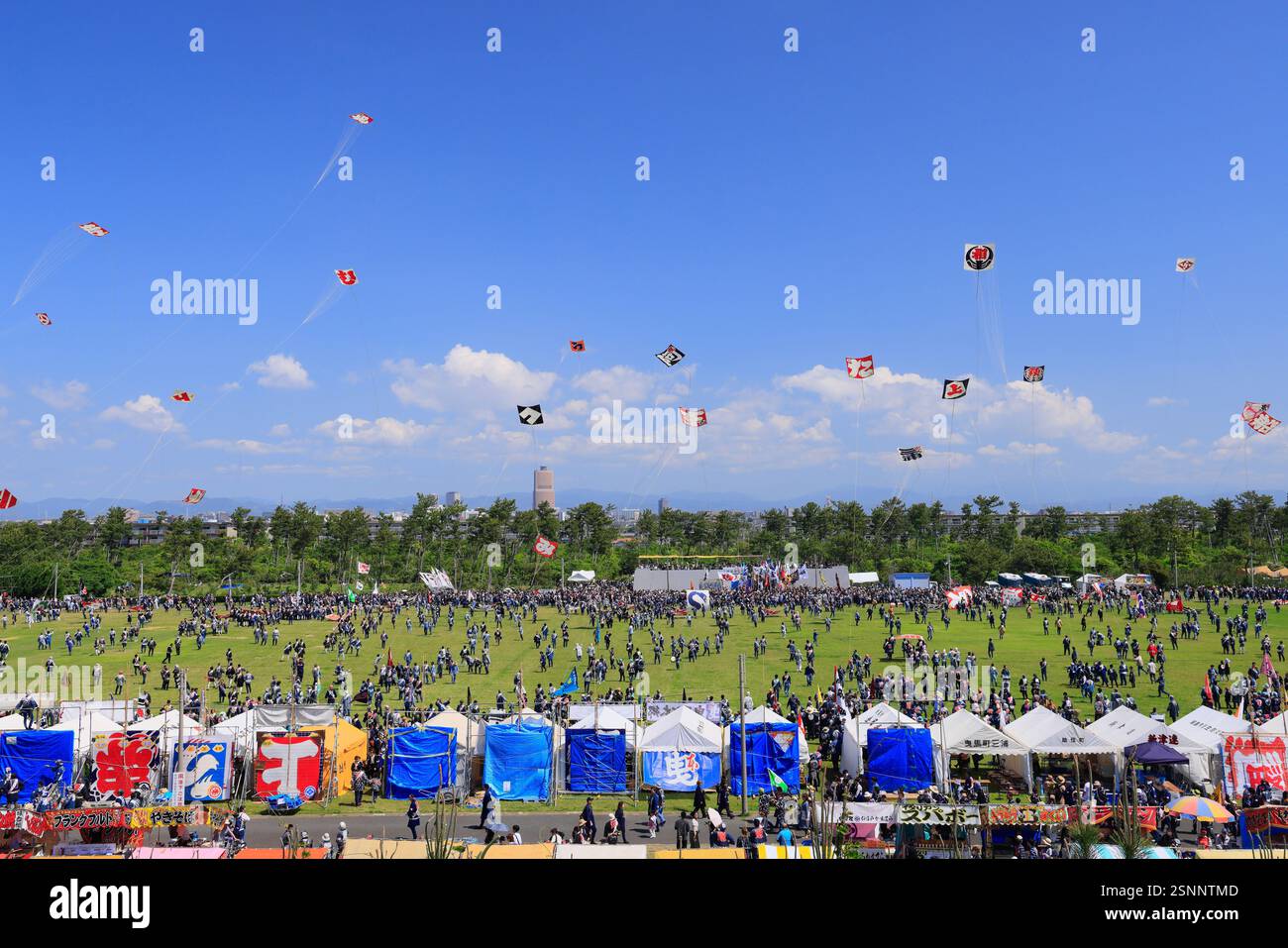 Hamamatsu Festival, kite-flying contest Hamamatsu City, Shizuoka ...