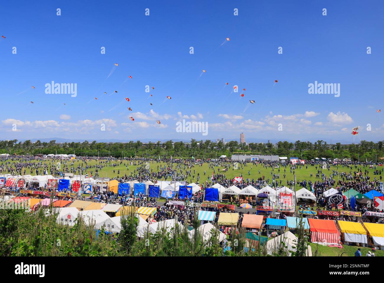 Hamamatsu Festival, kite-flying contest Hamamatsu City, Shizuoka ...
