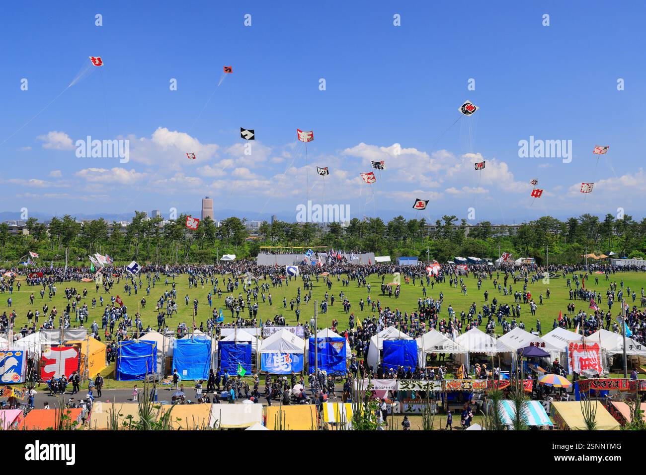 Hamamatsu Festival, kite-flying contest Hamamatsu City, Shizuoka ...