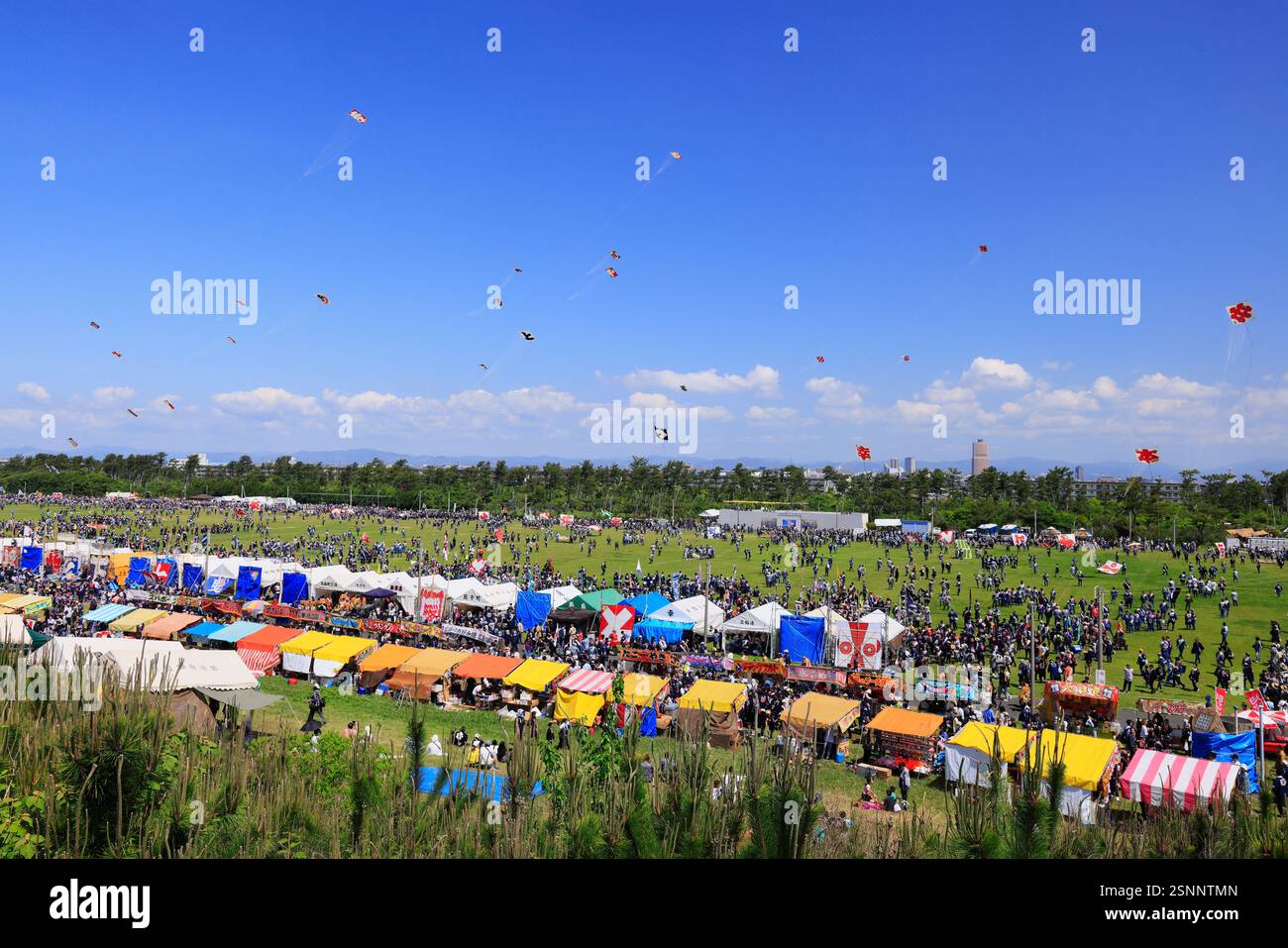 Hamamatsu Festival, kite-flying contest Hamamatsu City, Shizuoka ...