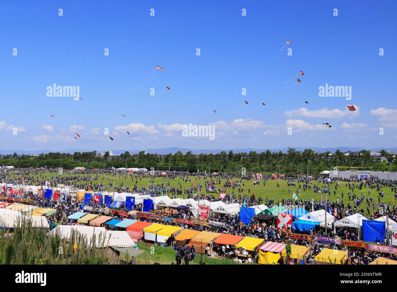 Hamamatsu Festival, kite-flying contest Hamamatsu City, Shizuoka ...