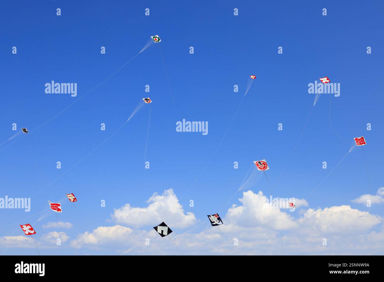 Hamamatsu Festival, kite-flying contest Hamamatsu City, Shizuoka ...