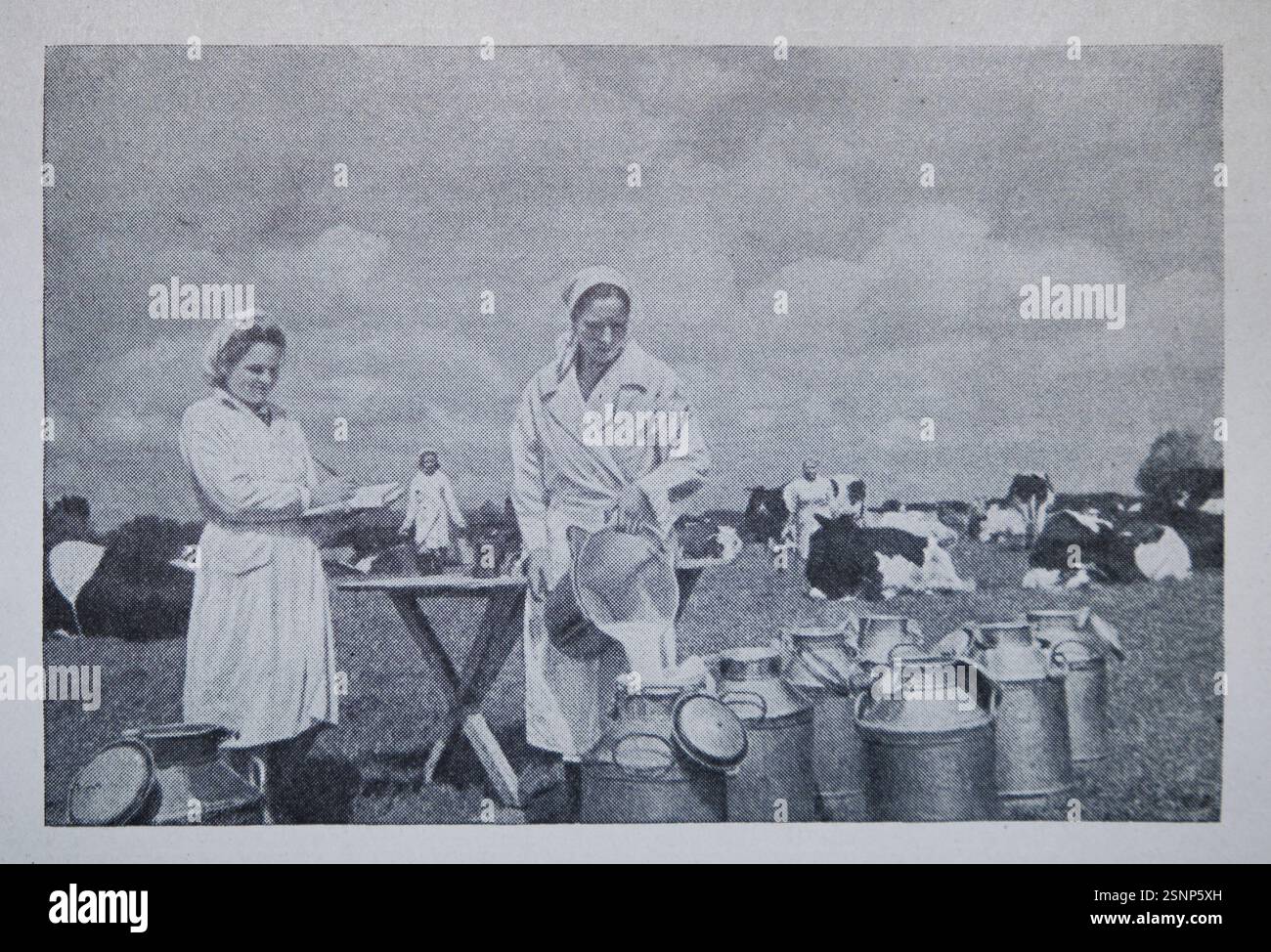 Soviet dairy farm, women pouring milk into metal jugs. A black and ...