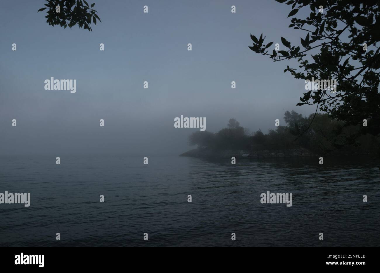 Gloomy cloudy weather in Trillium Park in Toronto with thick fog laying ...