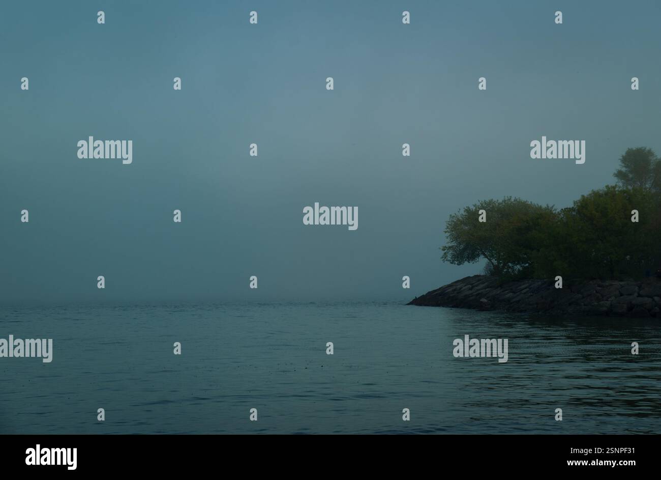 Gloomy cloudy weather in Trillium Park in Toronto with thick fog laying ...