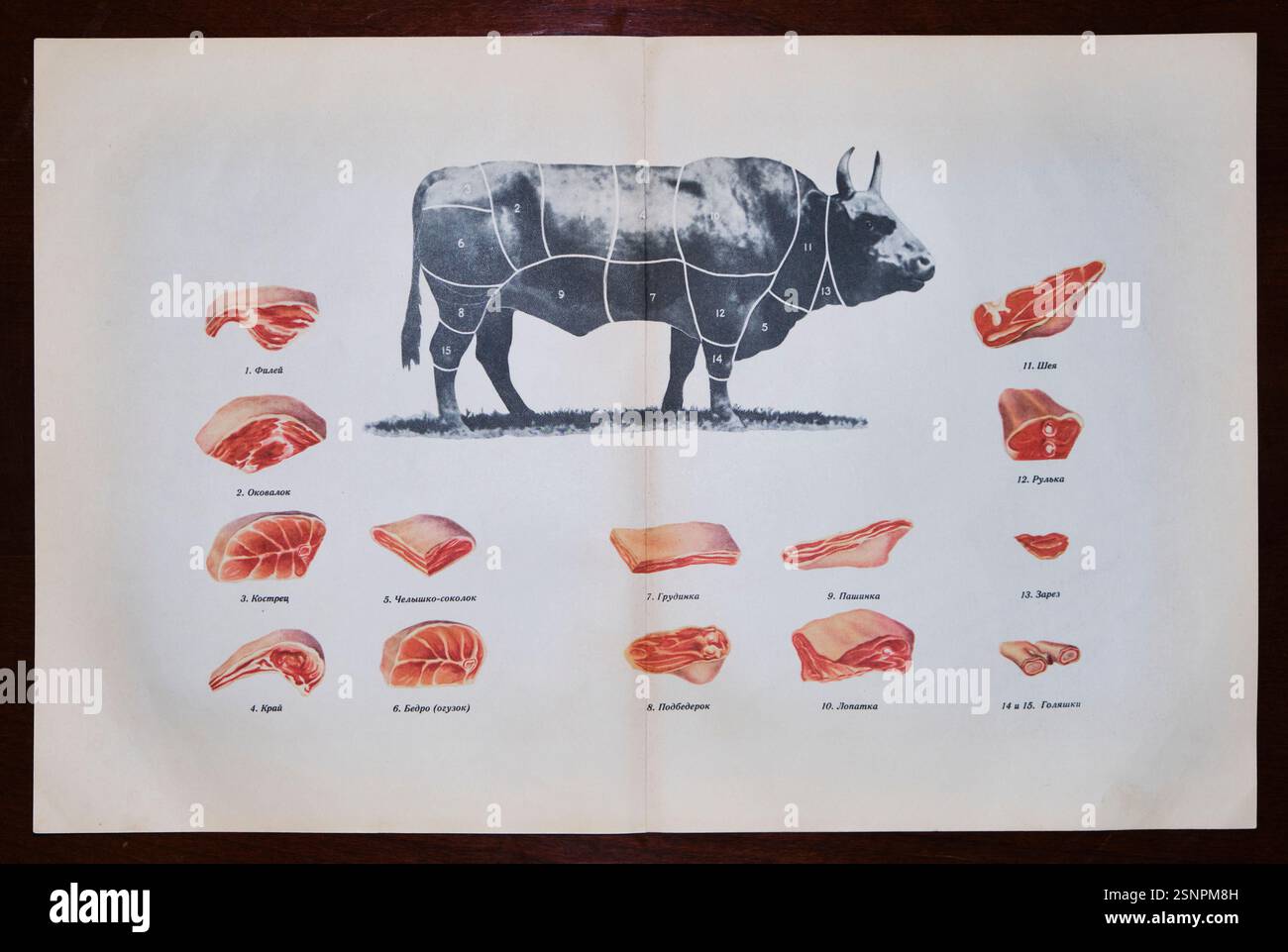 A cow and butcher guide to all the cuts of meat. A black and white ...