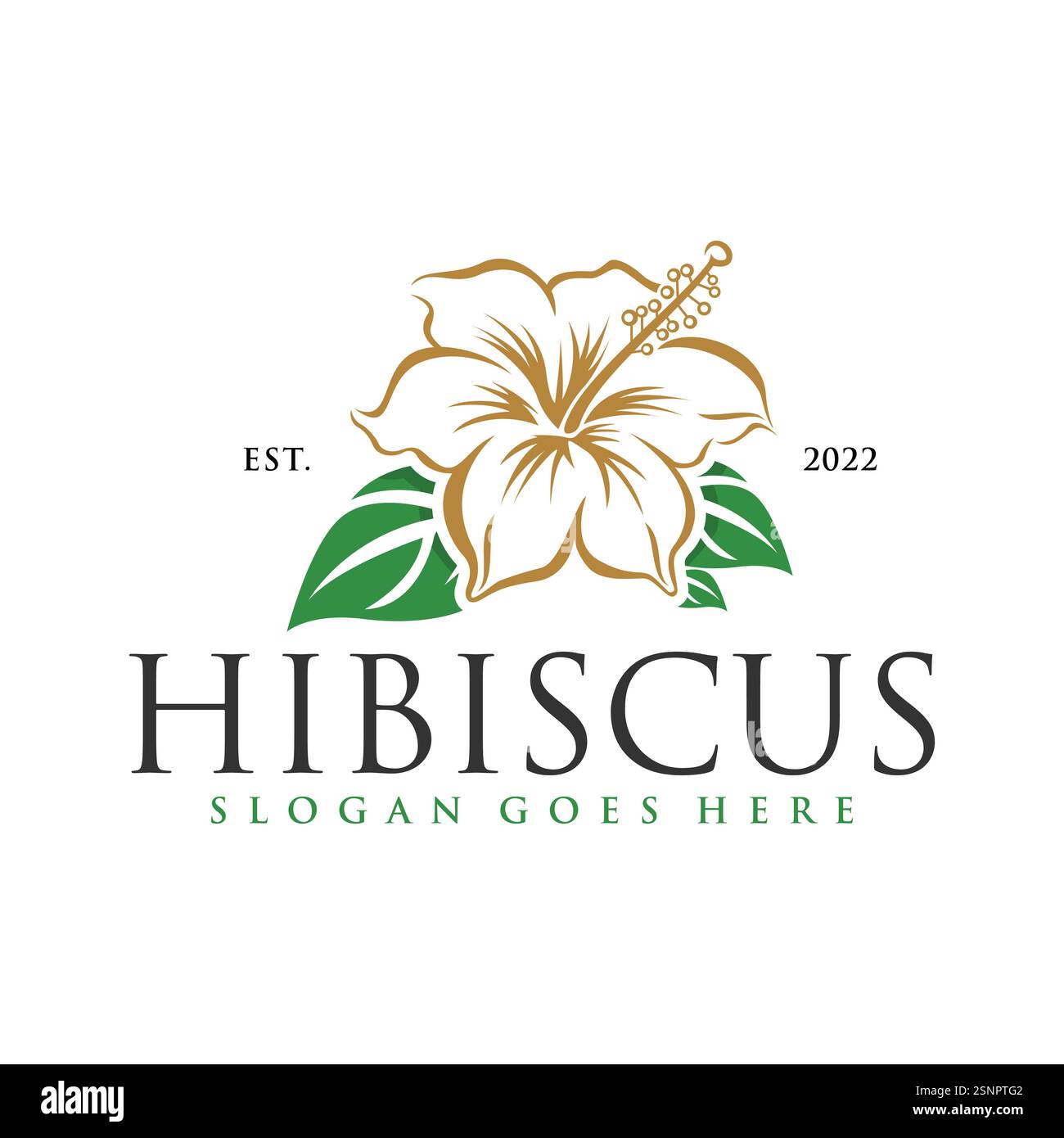 Classic hibiscus shape hi-res stock photography and images - Alamy