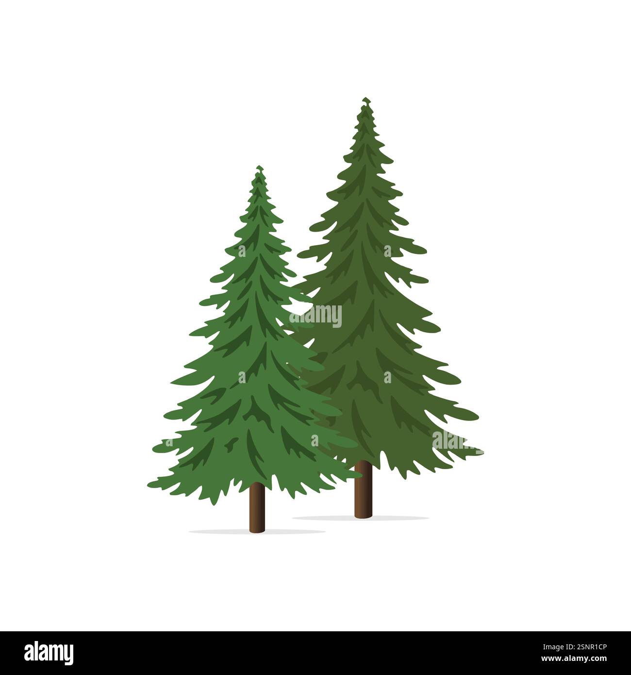 Pine Tree, Pine Forest Vector Illustration Stock Vector Image & Art - Alamy